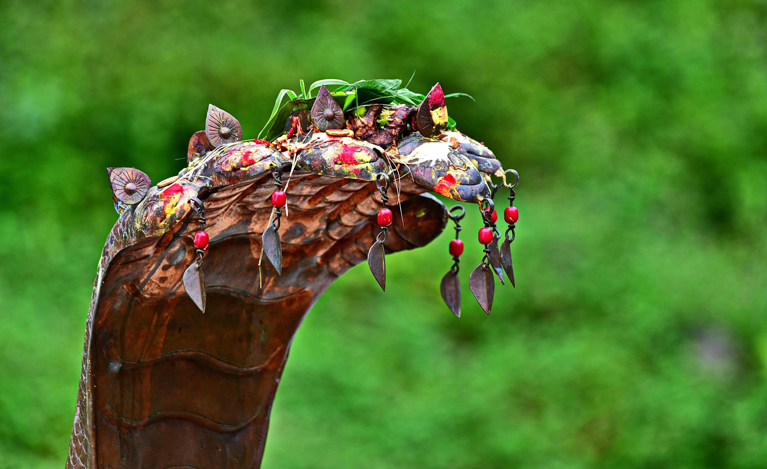 The Serpent’s Story: Between Myth, Fear, and Nature – NepalConnect